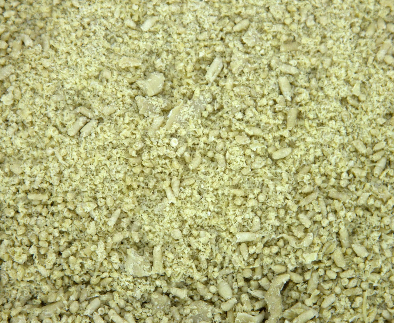 Wet Felting at World of Wool