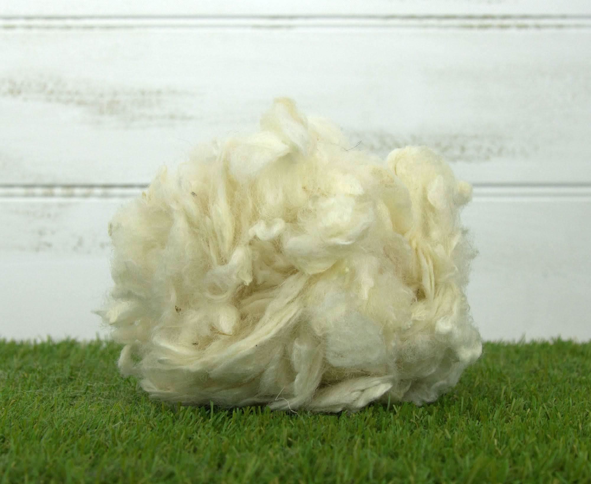 Scoured Corriedale Lambswool